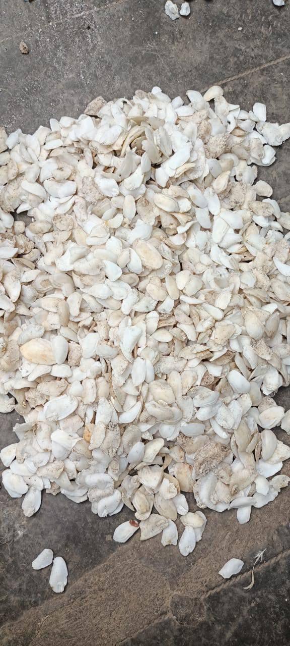 Shukra Mani Stone – BTS