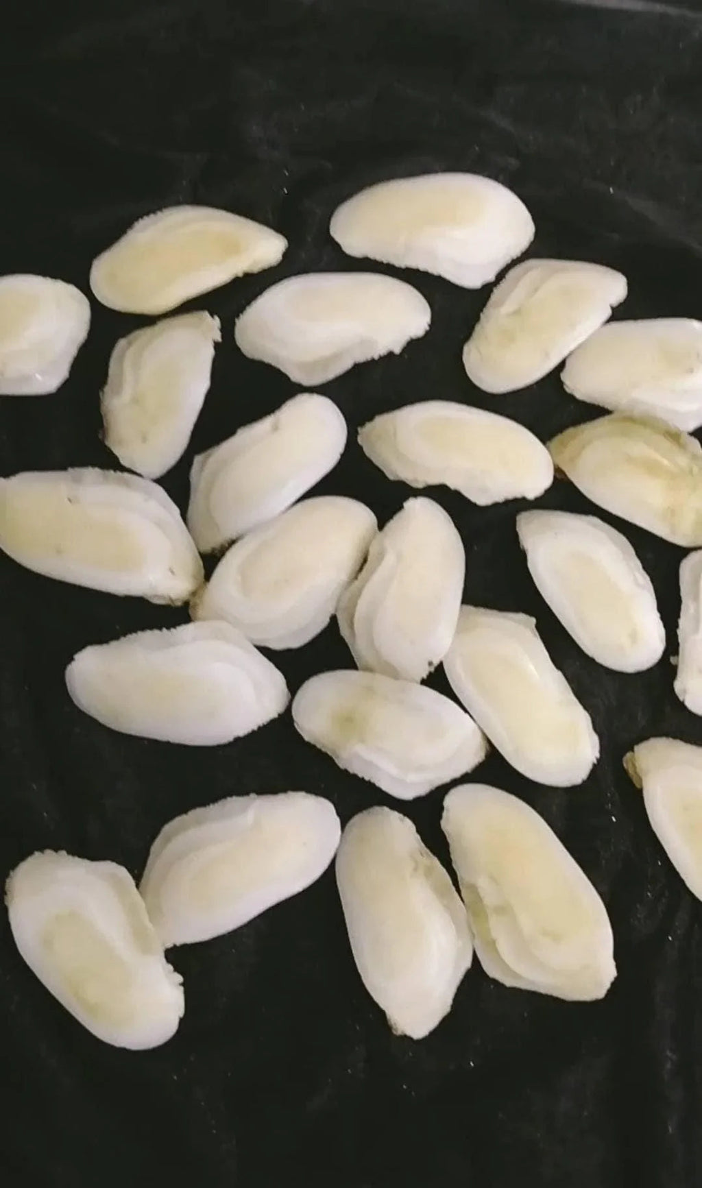 Shukra Mani Stone – BTS